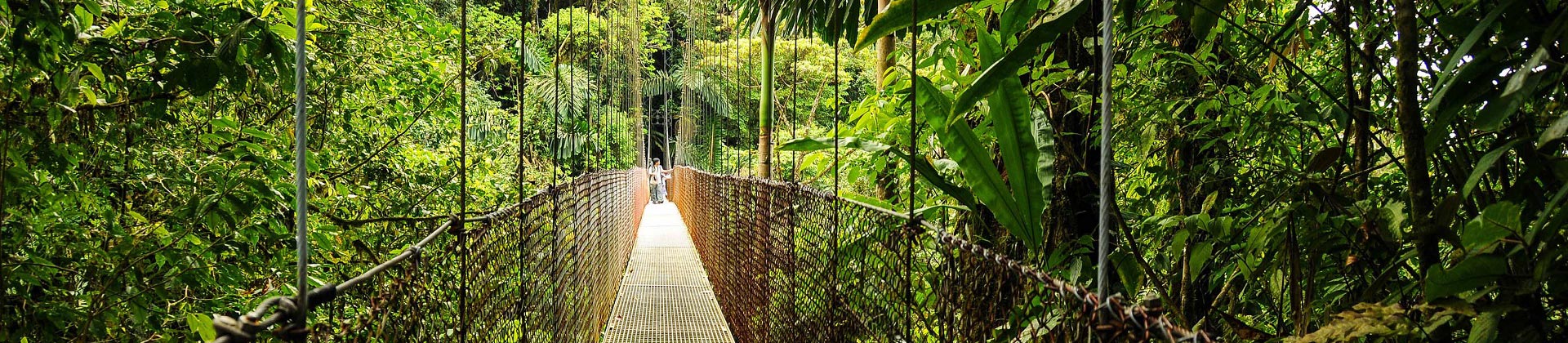 Beste Reisezeit Costa Rica - Infos zu Klima, Trocken- und Regenzeit