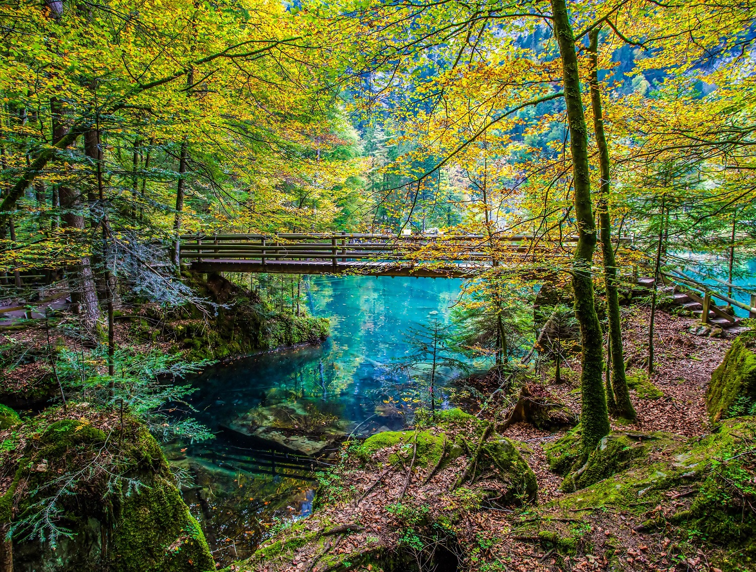 Faszinierender Blausee in der Schweiz | Urlaubsguru.at