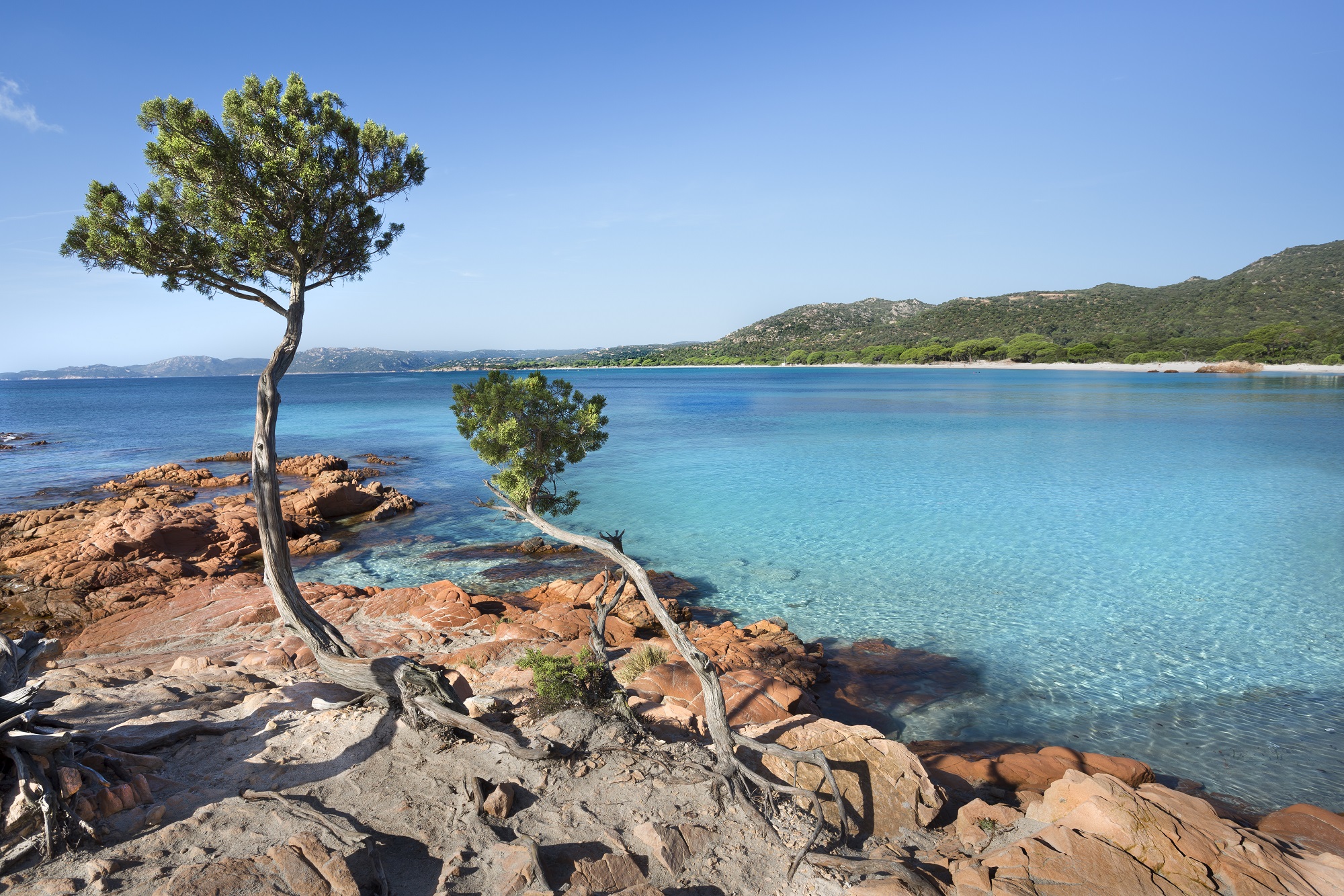 Korsika Tipps - Deswegen kann man immer auf die Insel