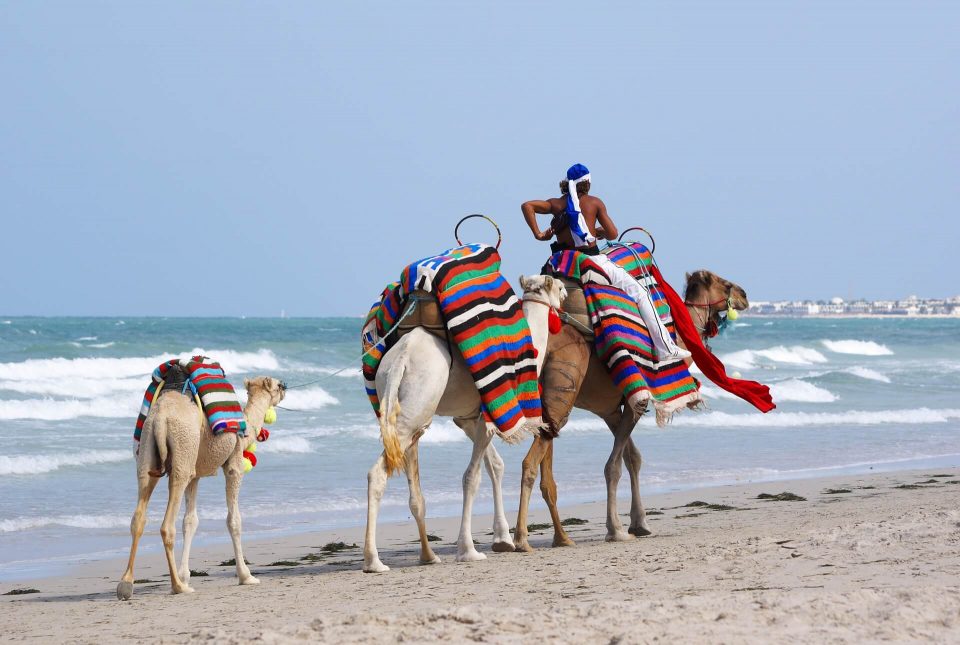 Tunesische Insel Djerba - alle Tipps & Infos ⏩ | Urlaubsguru