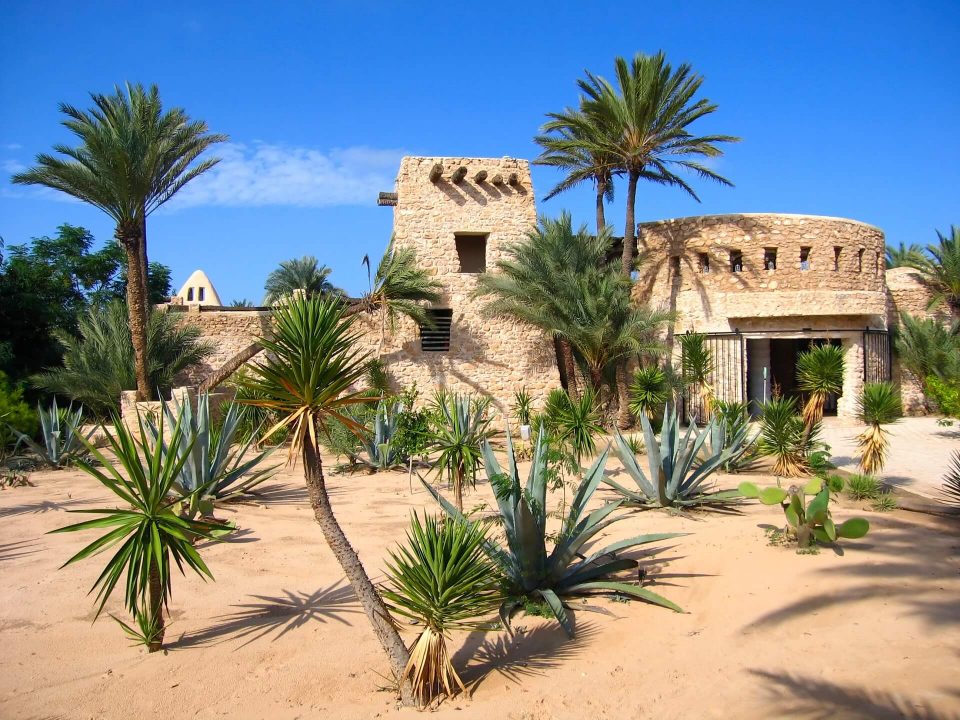 Tunesische Insel Djerba - alle Tipps & Infos ⏩ | Urlaubsguru