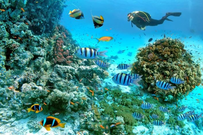 Top 10 Sehenswürdigkeiten Hurghada inkl. Karte & Entdecker-Routen