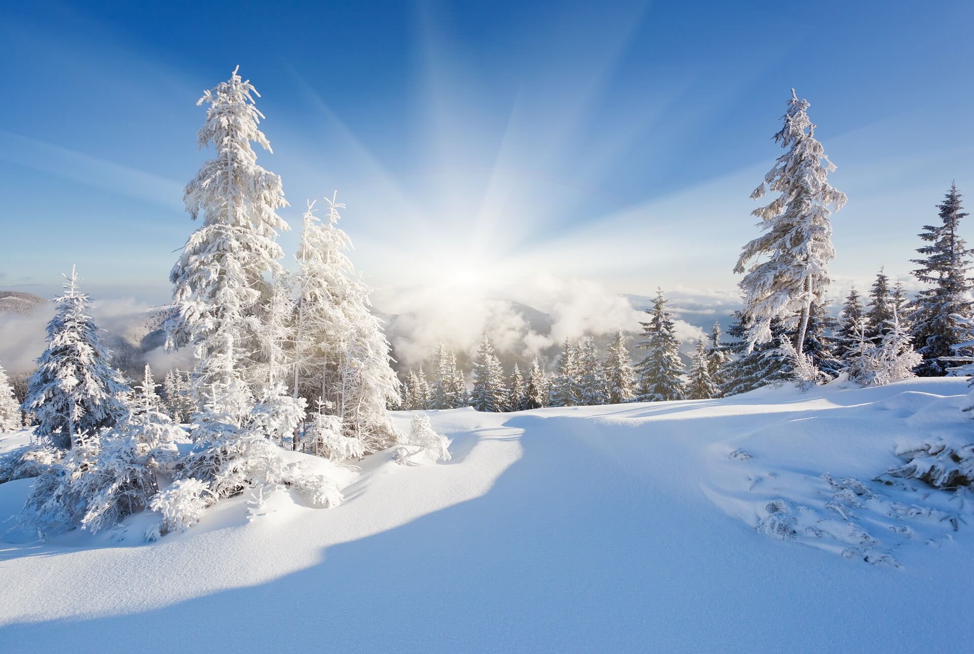 Urlaub im Winter: die beliebtesten Ziele | Sonne ☀ oder Schnee Urlaub im Winter: die beliebtesten Ziele | Sonne ☀ oder Schnee